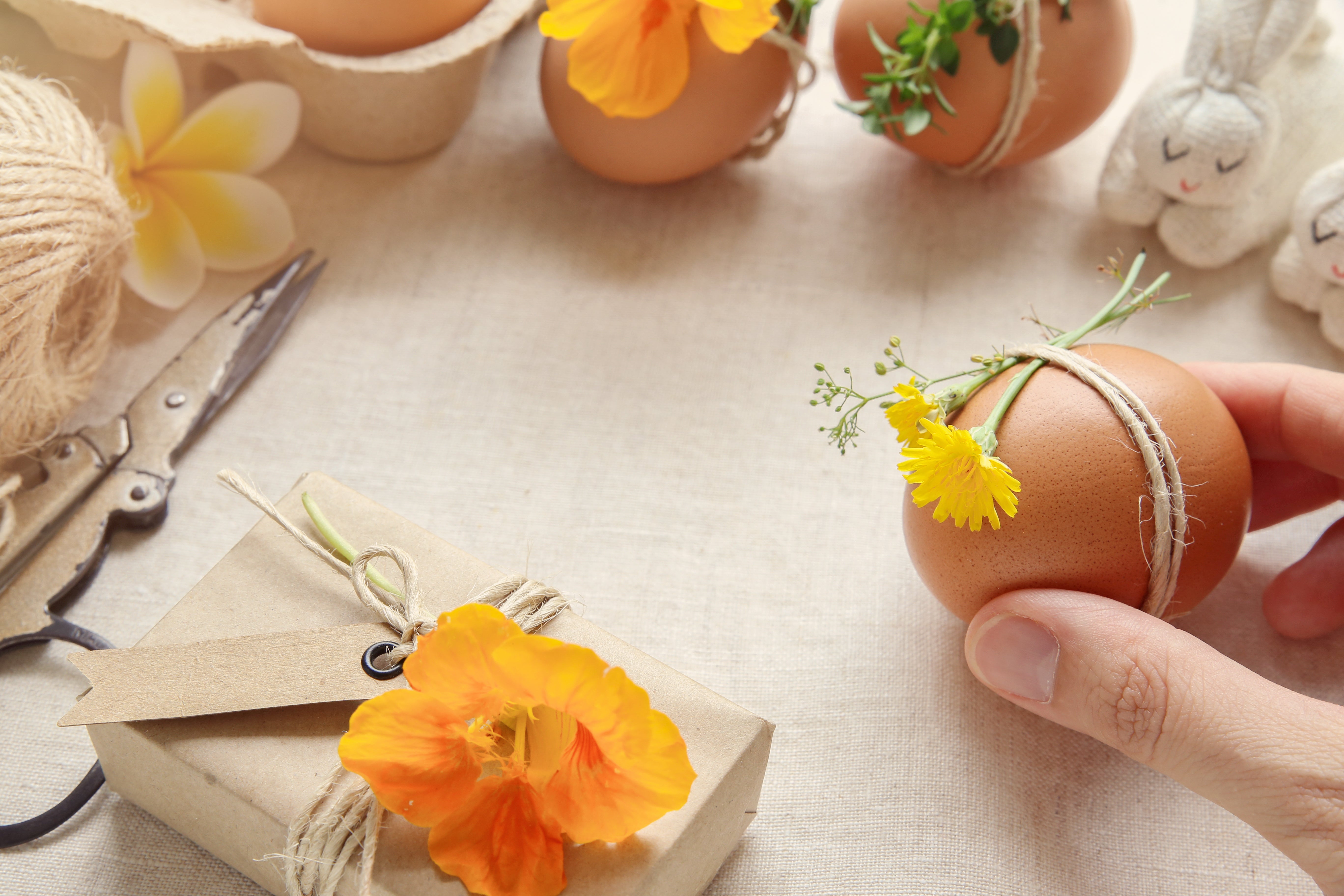 Easy tips for an eco-friendly Easter. – Cheeki